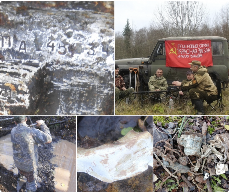 В Новгородской области поисковики обнаружили фрагменты советского самолета ЛаГГ-3 - AEX.RU